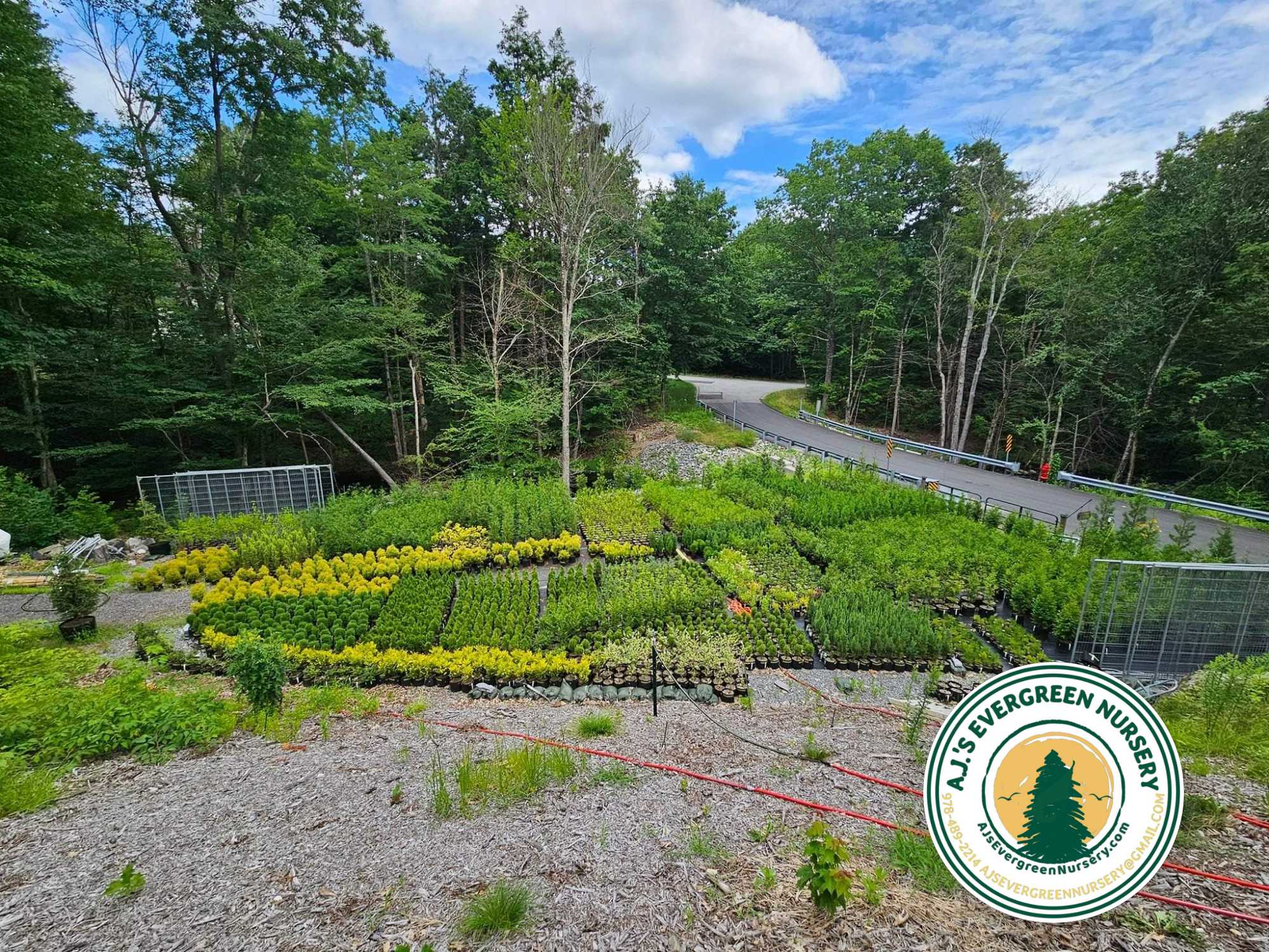 USDA Hardiness Zone Map | Know Your Growing Zone | A J’s Evergreen – A ...